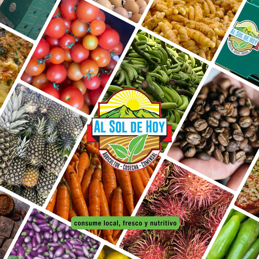 Productos – Al Sol de Hoy Puerto Rico